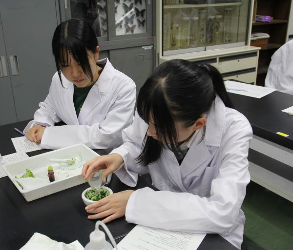 学校の様子 6月10日（火） ｜ 東京都立竹早高等学校 | 東京都立学校